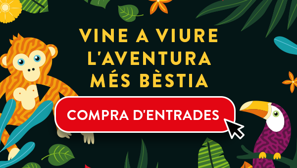 Tirolines Barcelona: vine al Bosc Urbà, el parc d'aventura de la ciutat