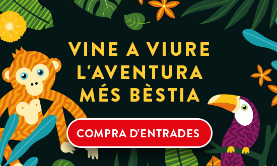 Tirolines Barcelona: vine al Bosc Urbà, el parc d'aventura de la ciutat